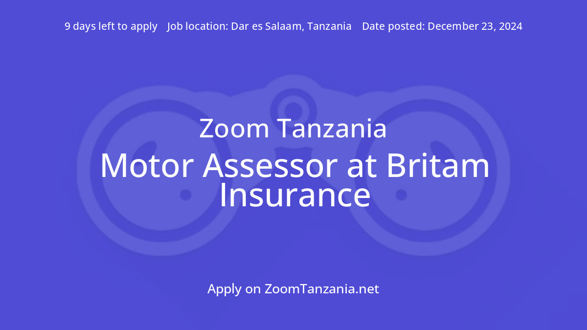 Motor Assessor at Britam Insurance - Zoom Tanzania